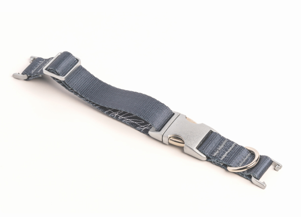 The Store | Fi Smart Dog Collar