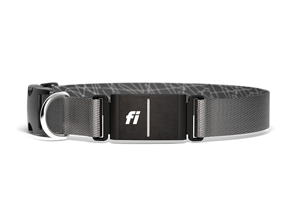 Fi Smart Dog Collar | Store